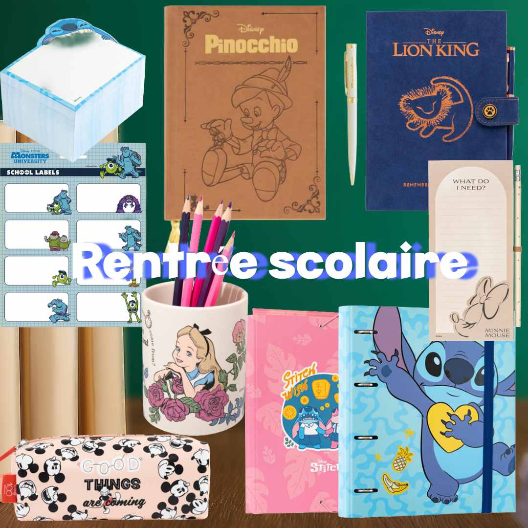 CadeauCity, le n°1 en Europe des objets et figurines Disney de collection